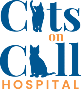 Best Cat Vet Hospital In Scarborough, ME | Cats On Call